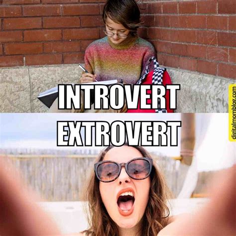 50 Hilarious Introvert Memes Youll Laugh At Silently