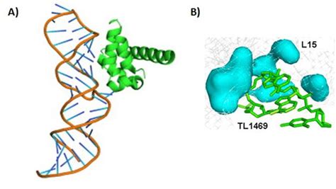 4 Representative Rna Protein Complexes A Rna Protein Complex Between