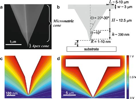 A Scanning Electron Micrograph Of A Commercial Sharpened Silicon Download Scientific Diagram