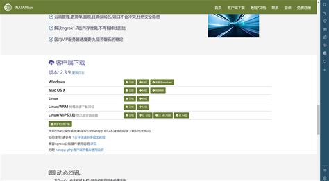 natapp内网渗透以及tomcat自建本地web服务 使用natapp搭建web csdn博客