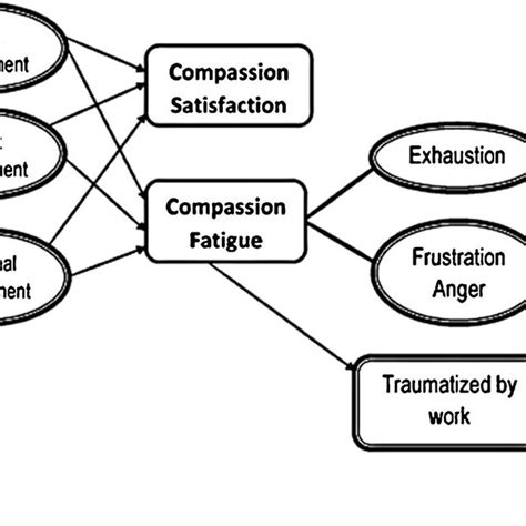 Theoretical Conceptualization Of Professional Quality Of Life
