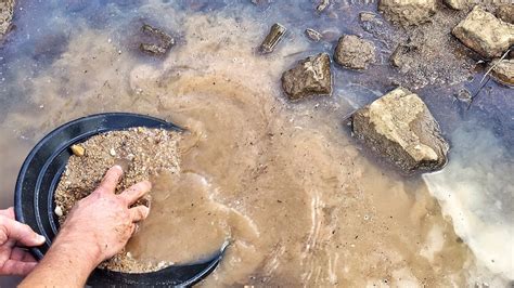 Best Practices In Phage Display Optimizing Binding Affinity