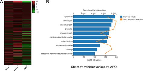 Transcriptome Analysis Identifies Gene Expression And Functional Download Scientific Diagram