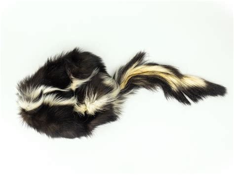 Skunk Skin Hat At James Oneill Blog
