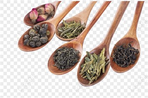 다양한 종류의 차 Png 일러스트 무료 다운로드 Lovepik