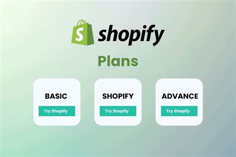 Which Shopify Plan Is Best For A Beginner TechCult