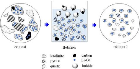 利用浮选流程分离和回收煤矸石中的有价值的碳成分和 Liga 金属acs Omega X Mol