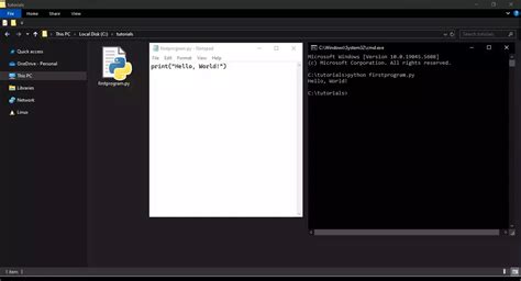 Python Getting Started Rustcode