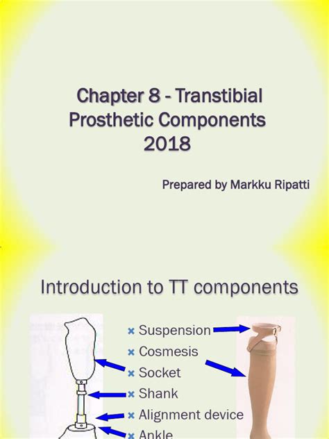 2018 Ch 8 Transtibial Prosthetic Components Pdf Knee Prosthesis