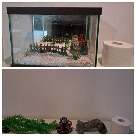 유리어항세트 당근 중고거래