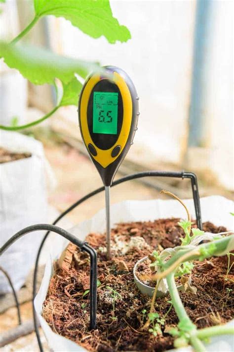 The Easiest And Most Reliable Way To Test Soil PH Growfully