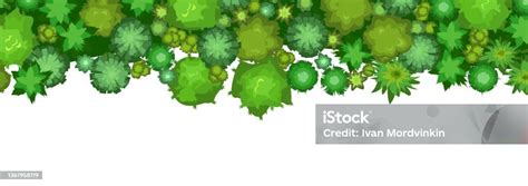 포리스트의 가장자리입니다 테두리 프레임입니다 나무와 관목 위에서 볼 수 있습니다 식물 풍경 맨 위 보기입니다 높이 만화 스타일의 일러스트레이션 흰색 배경 벡터에 격리됩니다