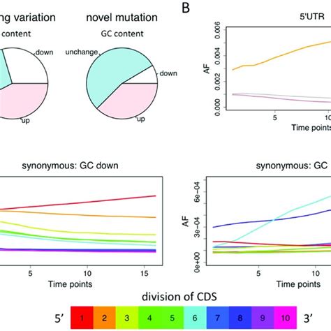 Mutations That Decrease Or Increase The Gc Content A The Percentages Download Scientific