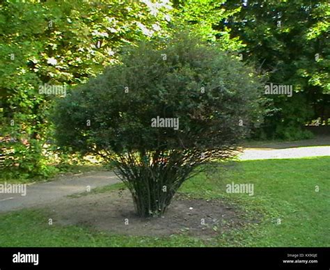 A Technical Document Or File Potentially Related To Web Development Or