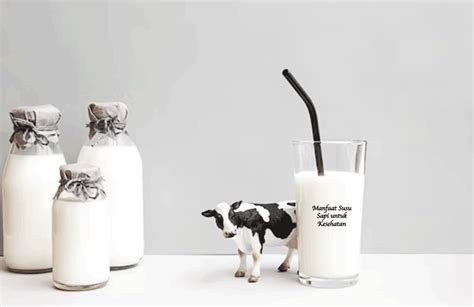 15 Manfaat Susu Sapi Untuk Kesehatan Dan Kecantikan Bams