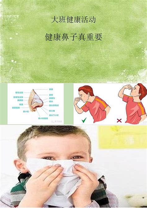 幼儿园大班健康鼻子真重要PPT课件 卡卡办公