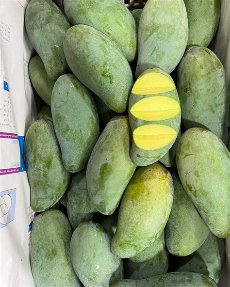 สวนสามพราน 🥭 มะม่วงเขียวเสวยสามพราน 🥭 น้ำหนัก 5 กิโล Facebook