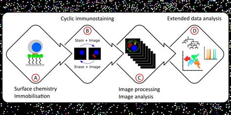 Ultra Content Screening For Clinical Diagnostics And Deep Phenotyping Helmholtz Imaging De