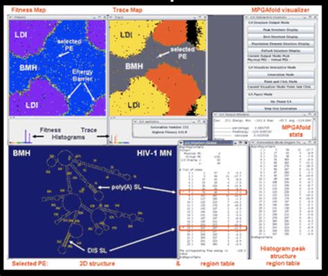 Rna Secondary Structure Analysis