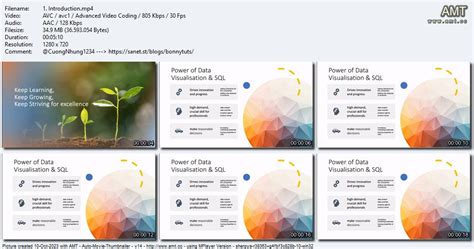 Learn Real World Sql And Data Visualization Softarchive