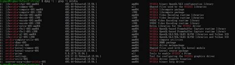 Unable To Use Deepstream Test1 App On Ngc 60 Devel Container Deepstream Sdk Nvidia