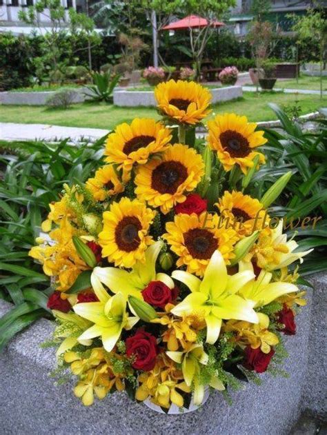 ♥精緻盆花♥bf 045藝林花藝藝林花藝景觀有限公司網路花店藝林花藝花店提供花卉、園藝造景、庭院造景、蝴蝶蘭、盆栽、花束、花籃及結婚