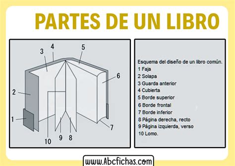 Estructura Y Partes De Un Libro