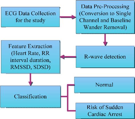Figure 1 From Computational Algorithms Underlying The Time Based