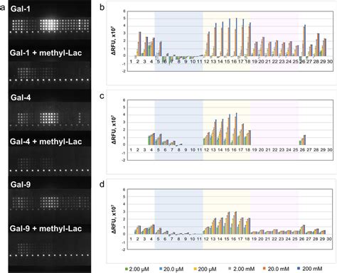 Fluorescence Image Of Microarray Chip Is Taken After Treatment Of Download Scientific Diagram