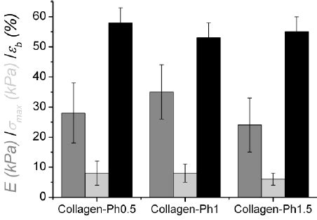 Compressive modulus E maximal compressive stress σ max and Download Scientific