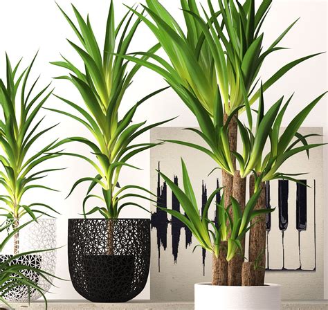 집 식물 세트 1 3d 모델 30 Max Obj Free3d