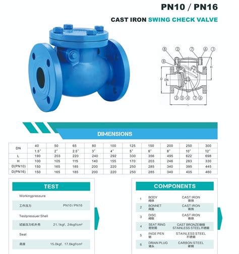 Cast Iron Ansi Class 125 Flanged End Swing Check Valve China Water Valve And Check Valve