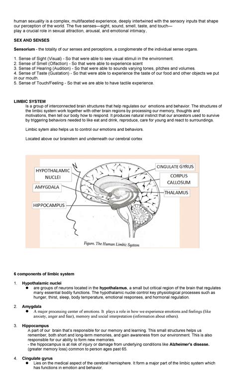 Lesson First Reporter Notes Human Sexuality Is A Complex Multifaceted Experience Deeply