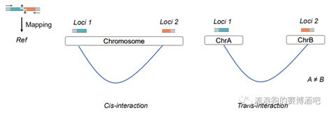 3d Genome Seminar笔记（二）：hi C数据分析流程 墨天轮