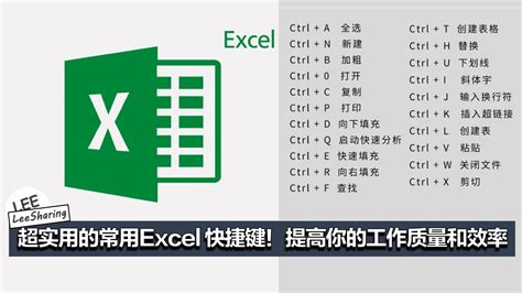 超实用的常用excel 快捷键！提高你的工作质量和效率！ Leesharing