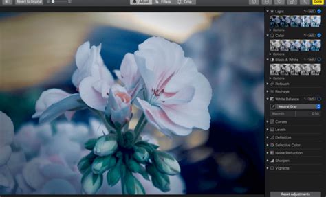 Digital And Mobile Technology