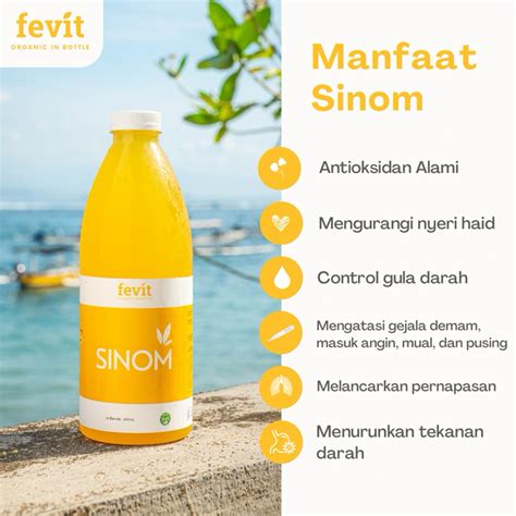 Jual Sinom Jamu Sinom Organik 100 Shopee Indonesia
