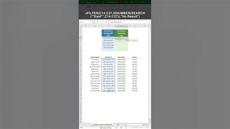 Use Excel Filter Function With Wildcards Partial Text Match Filter In