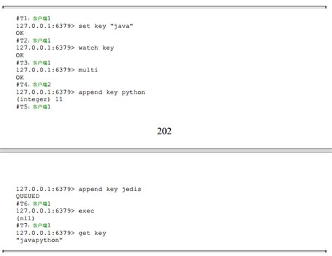 管道pipeline、事务transaction和lua脚本 — 东平的笔记仓库