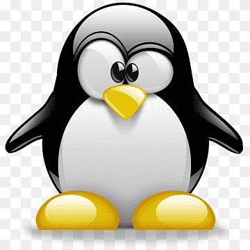 Ubuntu Png Images PNGWing