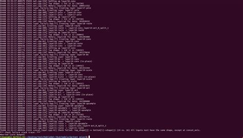 Conversion Issue Convert Tiny Yolov3 From Darknet Format To Caffe