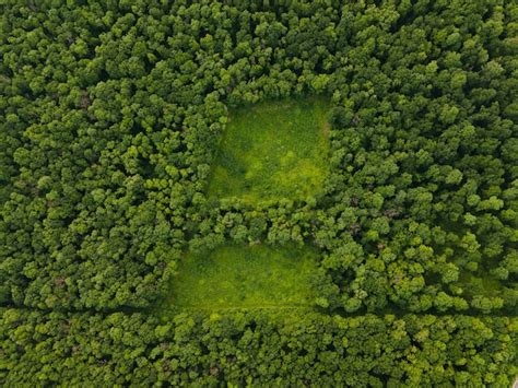 Vista Aérea Del Vuelo De Los Drones Sobre La Selva Tropical Con Un