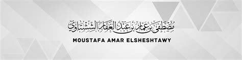 Moustafa Amar Elsheshtawy