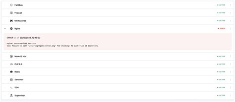 Newly Installed Server Has Nginx Issue Server Provisioning And Management Cleavr