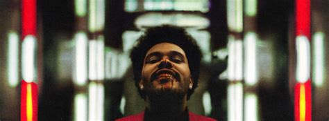 Best Favourite Tracket Bracket Bracketfights