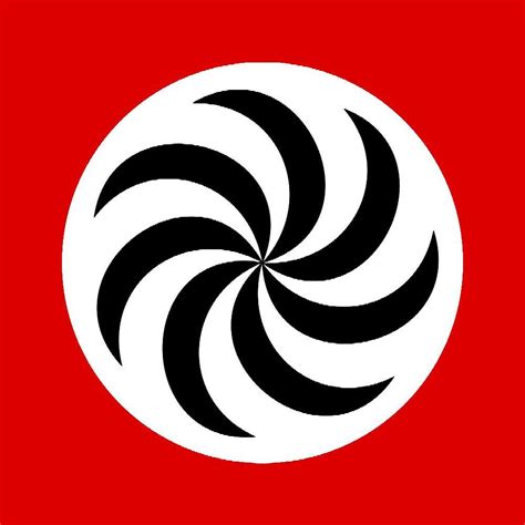 ეროვნულ სოციალისტური საქართველოს მშრომელთა პარტია Nsgwparty