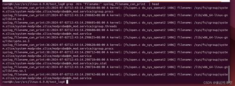 【linux】应用层创建xxx文件，文件系统调用可以查看到文件名 调用文件名 csdn博客