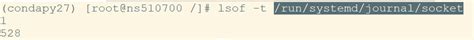 Linux Lsof Tutorial For Beginners With Examples