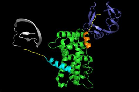 team queens canada linker development