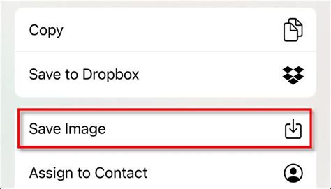 How To Copy An Image Or Video From Files To Photos On Iphone Or Ipad